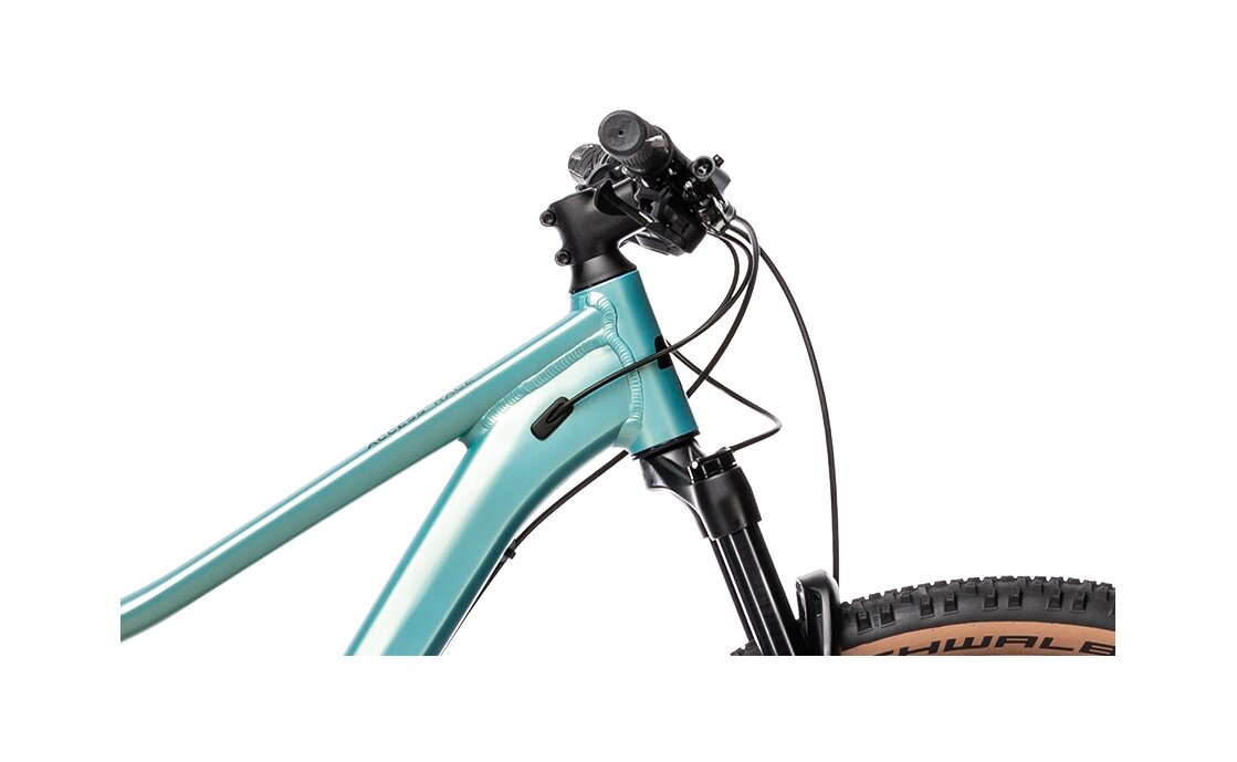 Cube Access WS Race 2021 29 Zoll kaufen | Fahrrad XXL