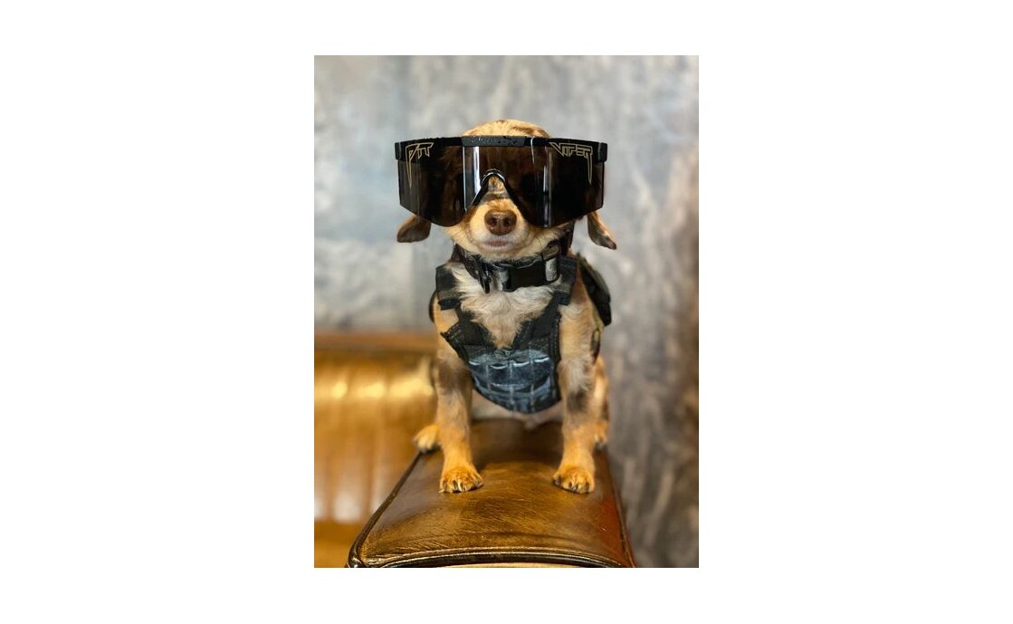 Pit Viper The 2000s - Ballistic - Black Ops 2025 -14% | Fahrrad XXL