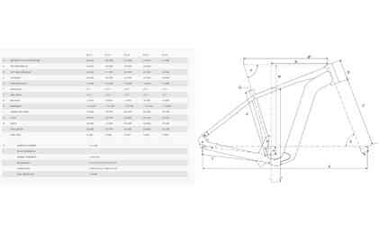 Bergamont E-Horizon Edition LTD Gent Diamant 2024 in 28 Zoll kaufen ...