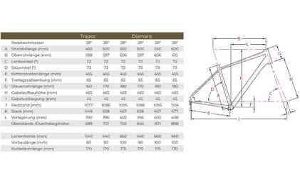 Raleigh Rushhour 6.0 Diamant Aktion in 28 Zoll kaufen | Fahrrad XXL