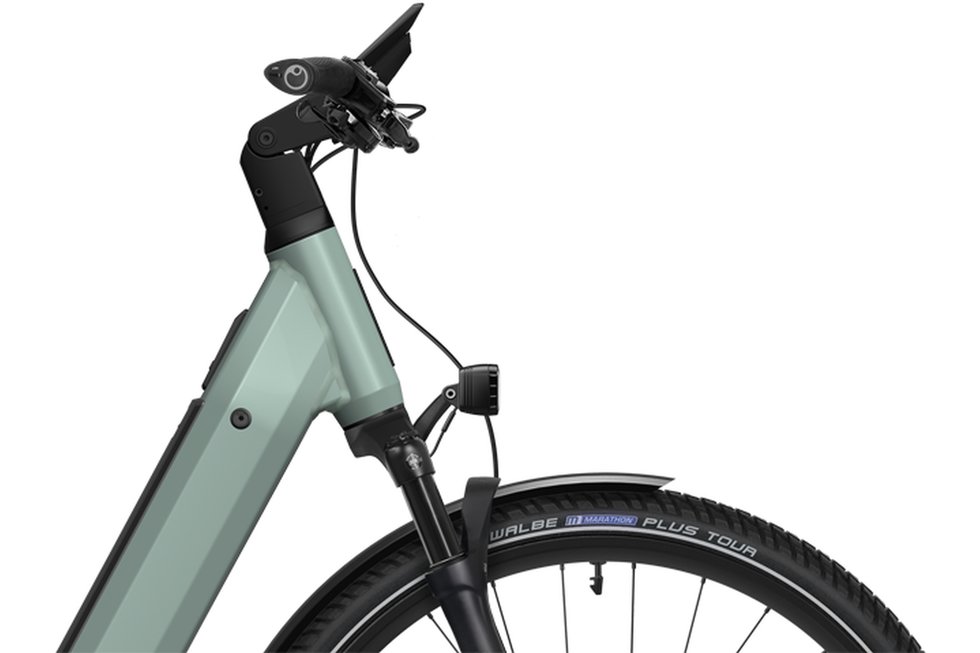 Flyer G2 Gotour 7.23 Tiefeinsteiger 2026 28 Zoll bestellen | Fahrrad XXL