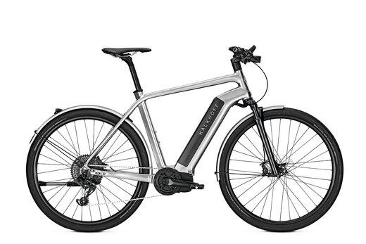 Impulse Evo RS Motor - Alle Infos zum Antrieb