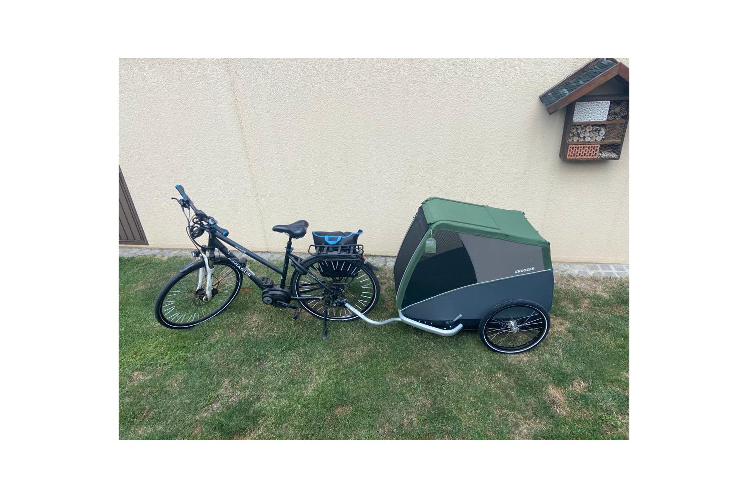 Croozer Dog Bruuno Aktion günstig kaufen | Fahrrad XXL