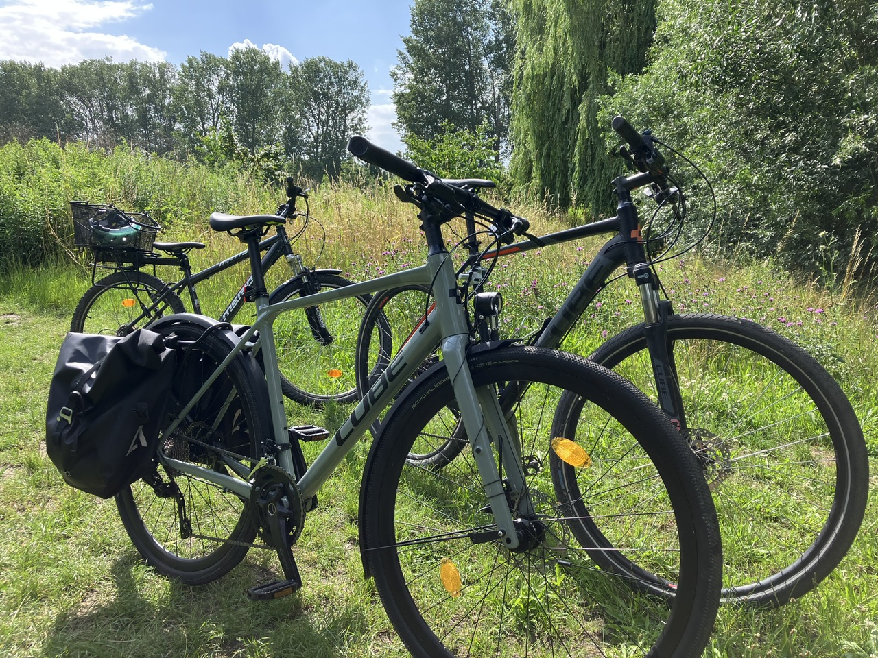 Cube Nulane Pro FE Diamant 2023 in 28 Zoll kaufen | Fahrrad XXL